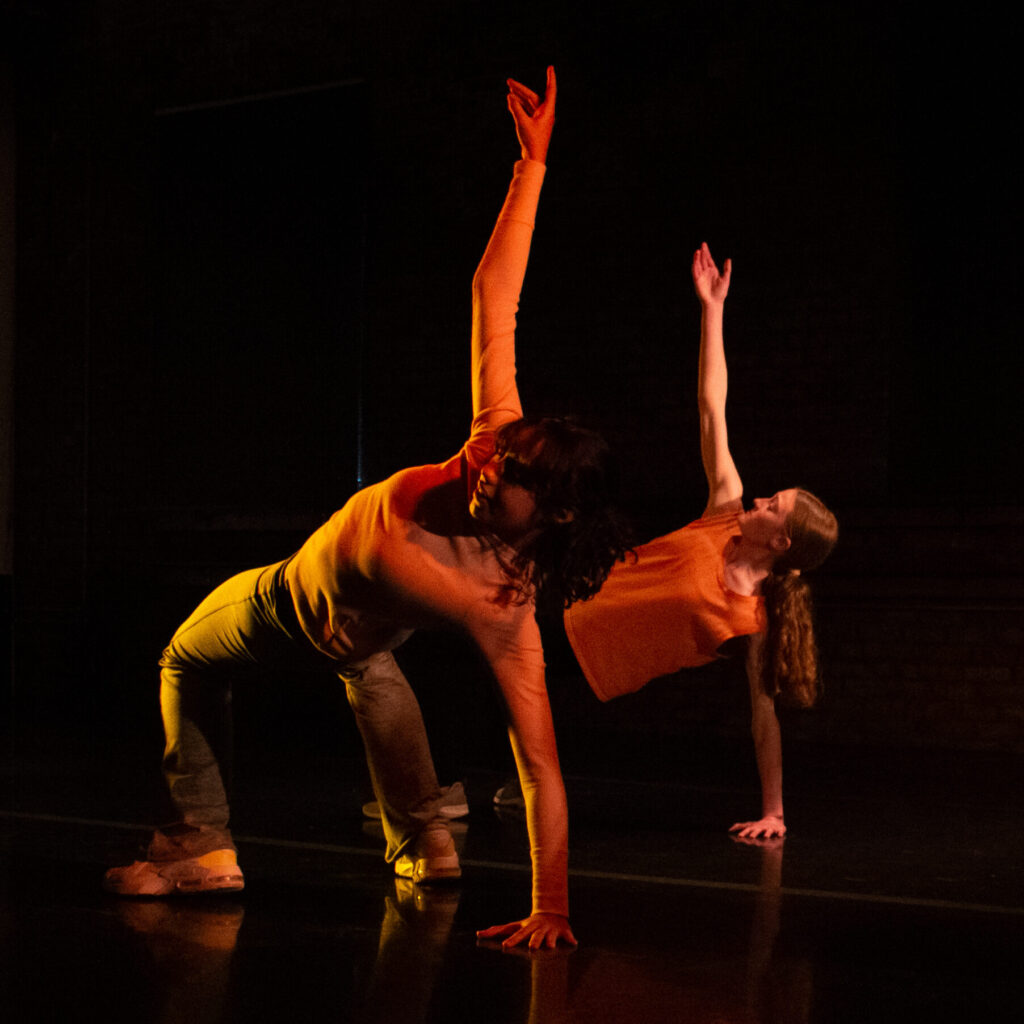 Performance Season – Fort Wayne Dance Collective